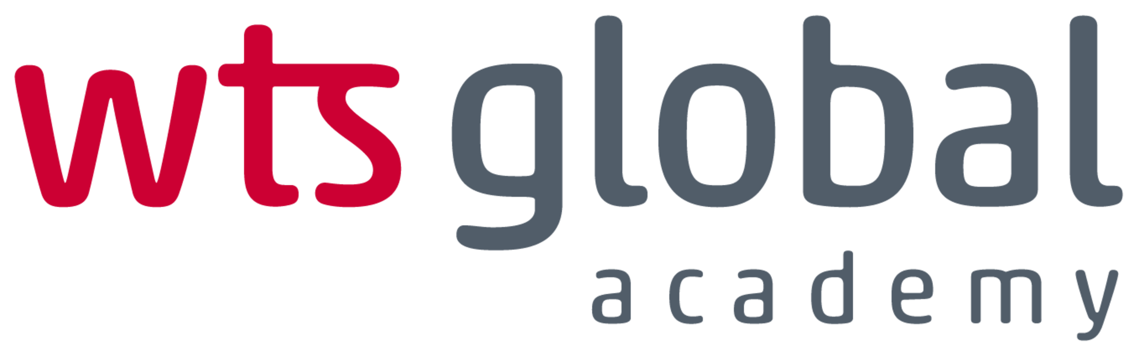 Culture and Leadership | WTS Global