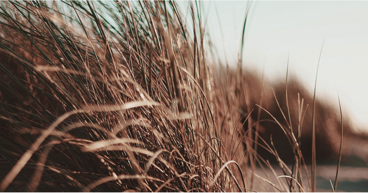 WTS berät die Invest Unternehmensbeteiligungs AG beim Anteilserwerb an ...